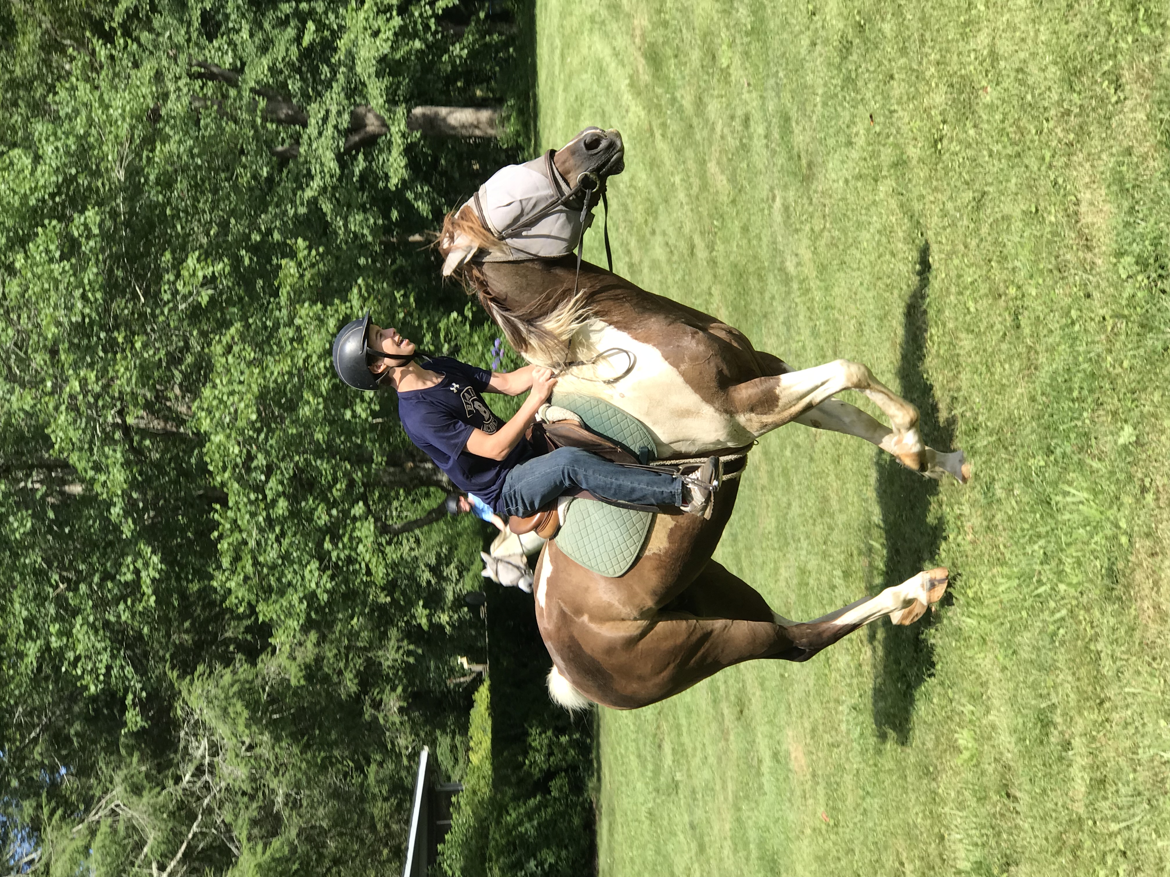 Sauntering Through Camp